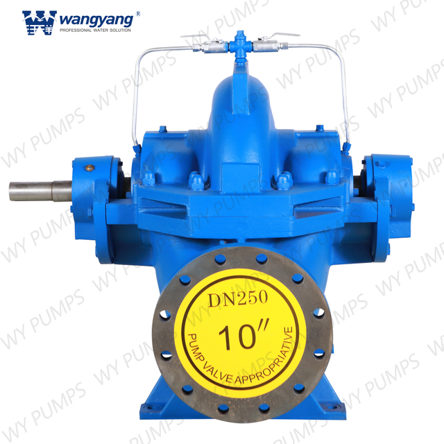 Single Stage Double Suction Split Case Pump From China Single Stage Double Suction Split Case